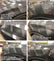 Durango Fender Hash Stripe Decal Kit – Luxe Auto Concepts