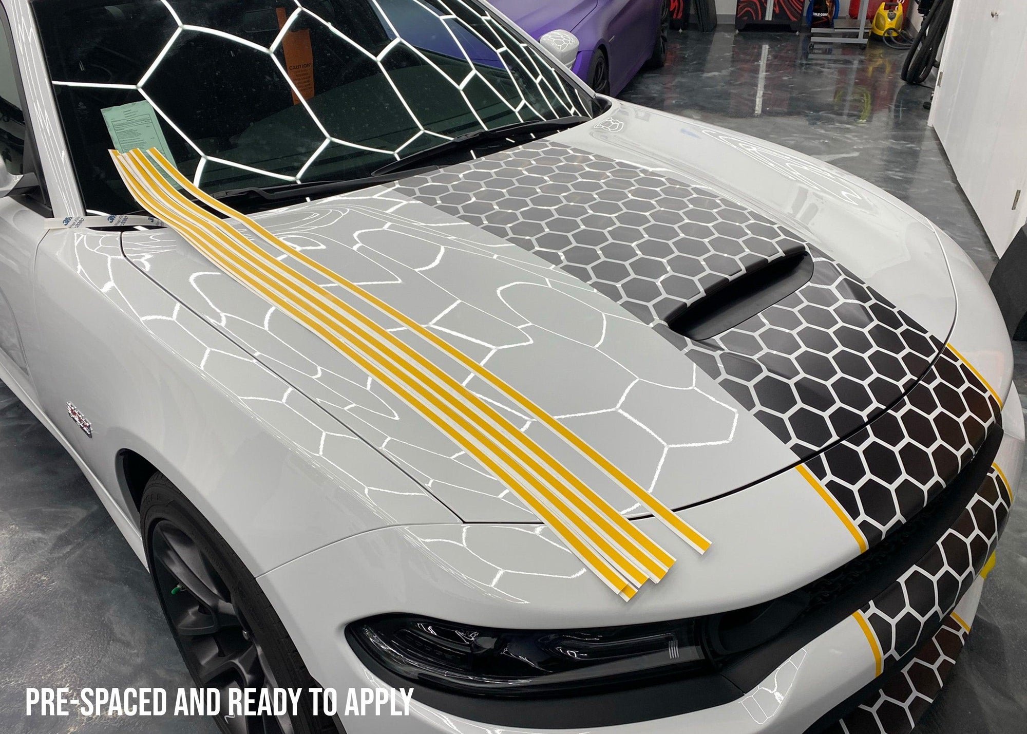 Standard Vehicle Stripe Kit - Dual Pinstripes, Pre-Spaced – Luxe Auto ...